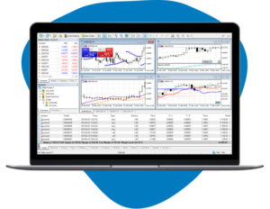 Manager - Signal Capital